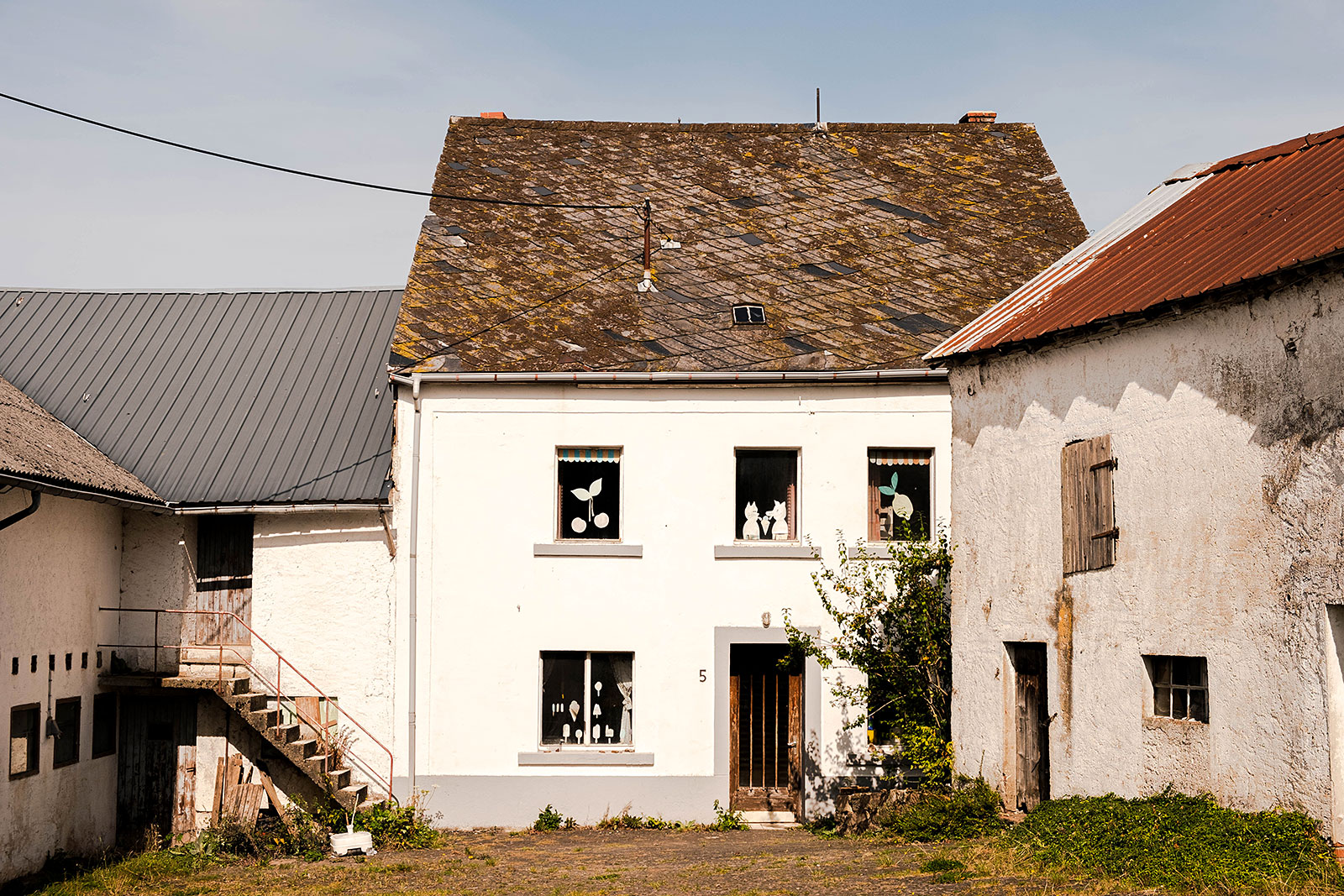 Der Literaturnobelpreisträger Ernest Hemingway und J. D. Salinger ...